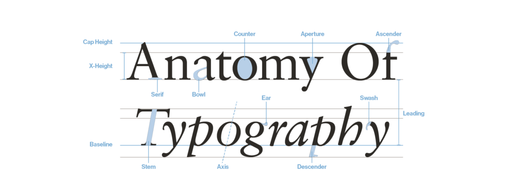 The Role of Typography in Branding | Insights | Little