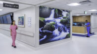 Guided by Evidence: Developing Artwork Guidelines for Healing ...